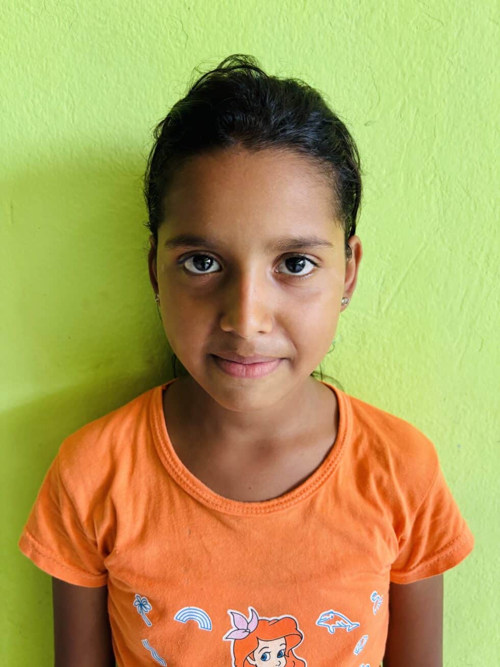 Brithany - Frontier Horizon